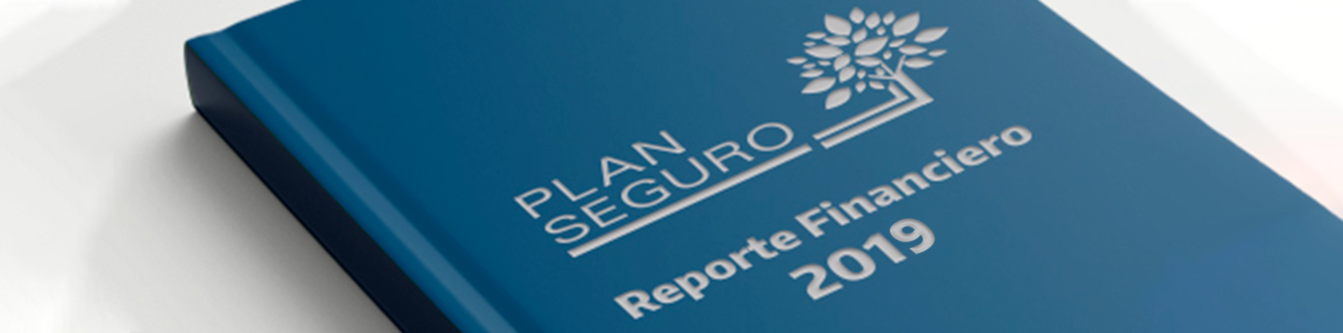 Plan Seguro